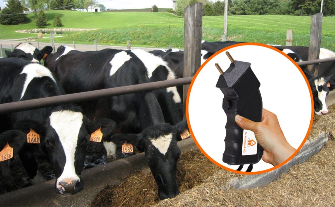 Best Cattle Prods for 2026 (Voltage, Use Cases, Safety Compared)