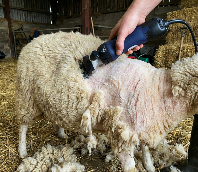 How to Choose the Best Sheep Shears for Different Breeds and Wool Type