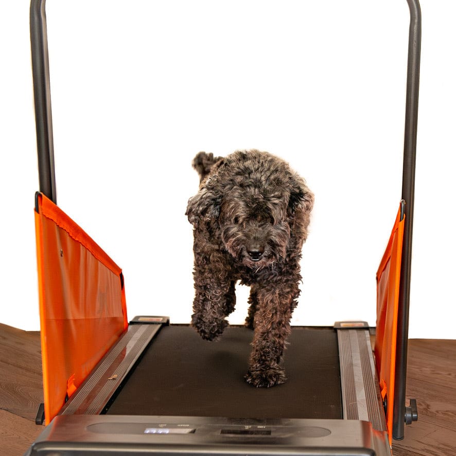 Motorised Dog Treadmill - Adjustable & Foldable | Pet Control HQ
